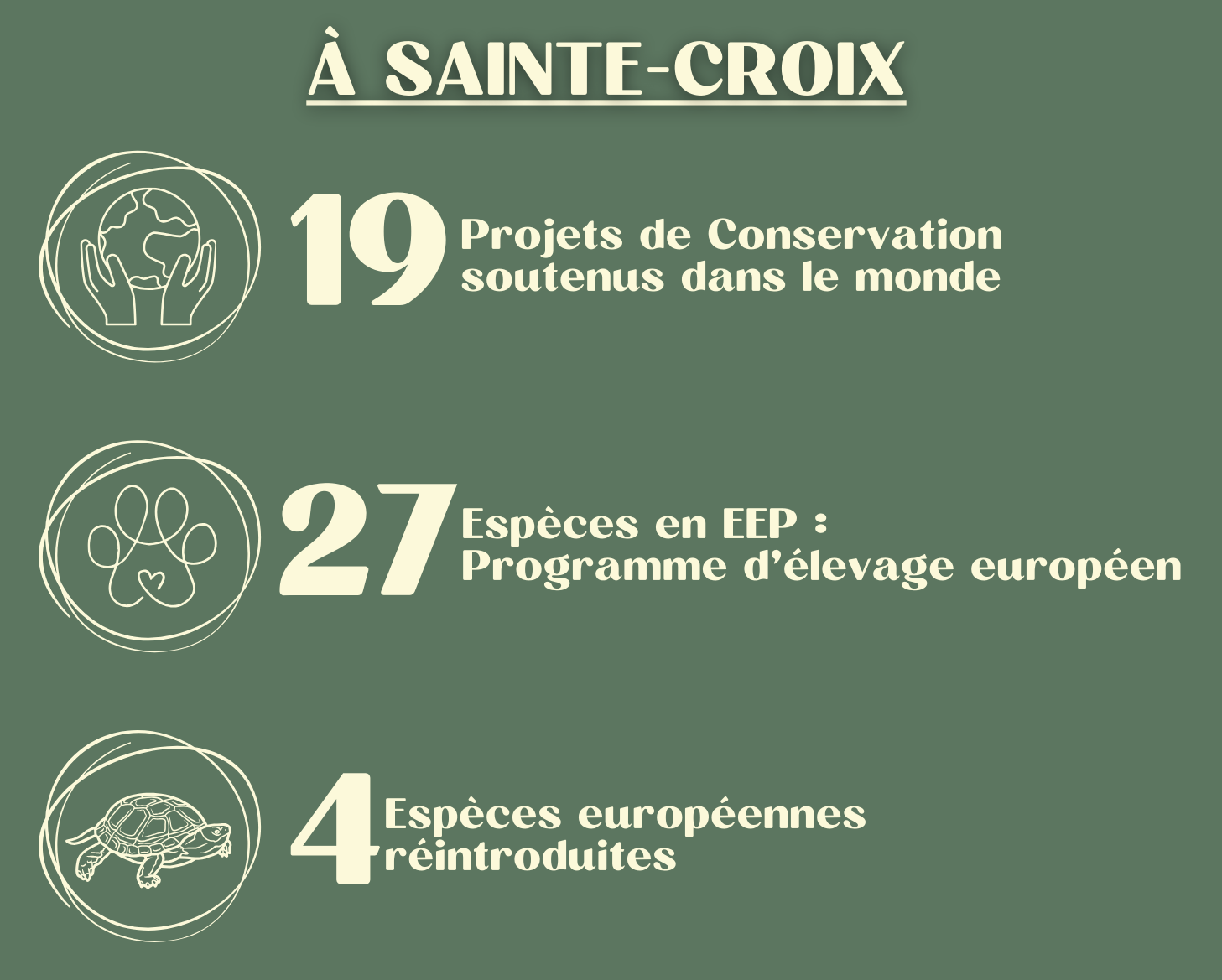 Les animaux en voie de disparition | Parc Animalier Sainte-Croix